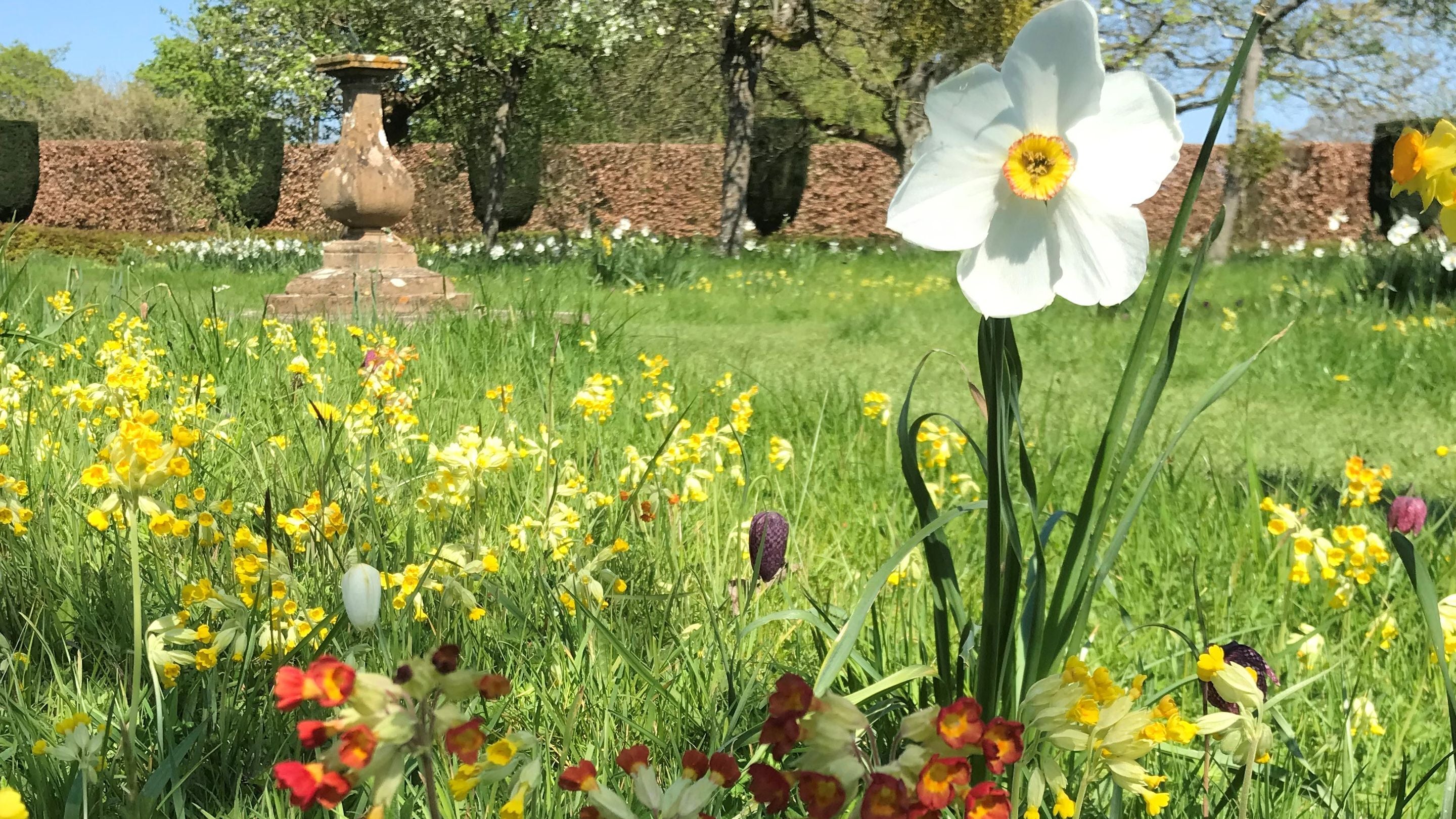 Visiting Lytes Cary Manor house | Somerset | National Trust