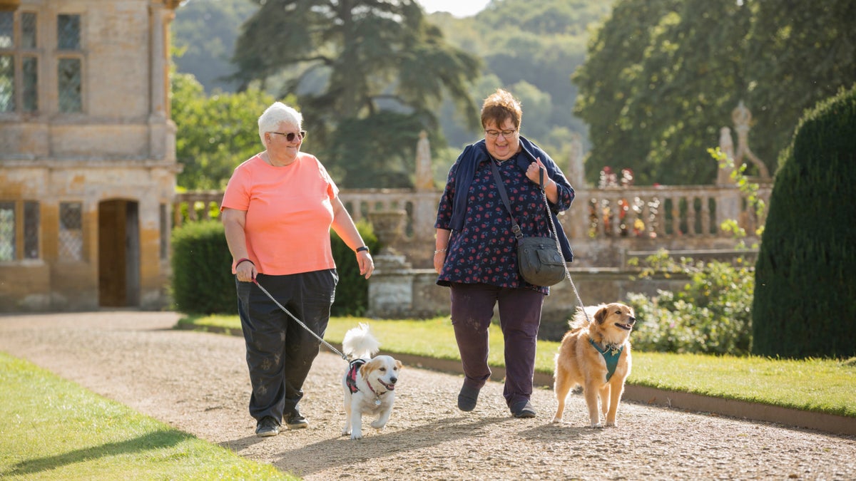 Dog-friendly places in Somerset | National Trust