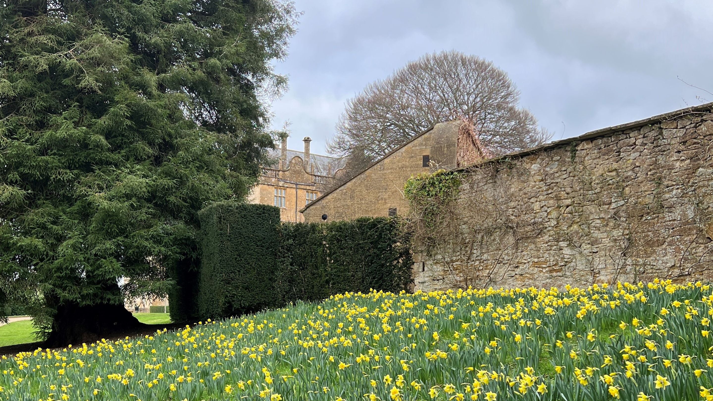 Things to see and do in Montacute House | National Trust