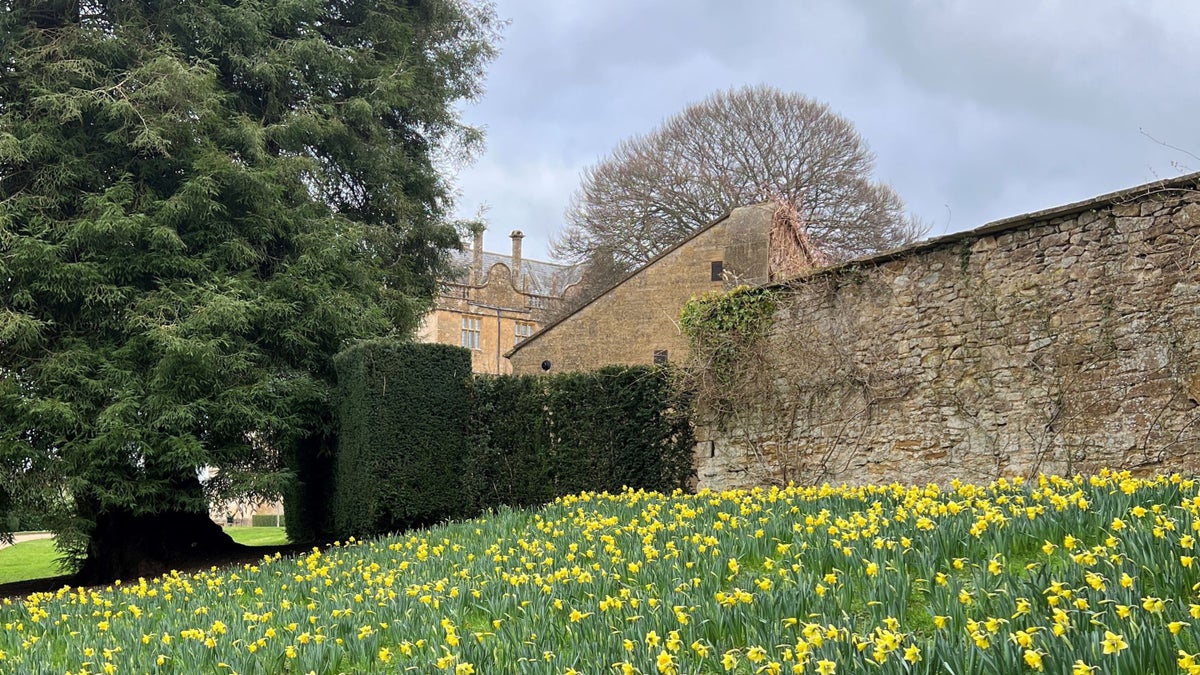 Montacute House | Somerset | National Trust