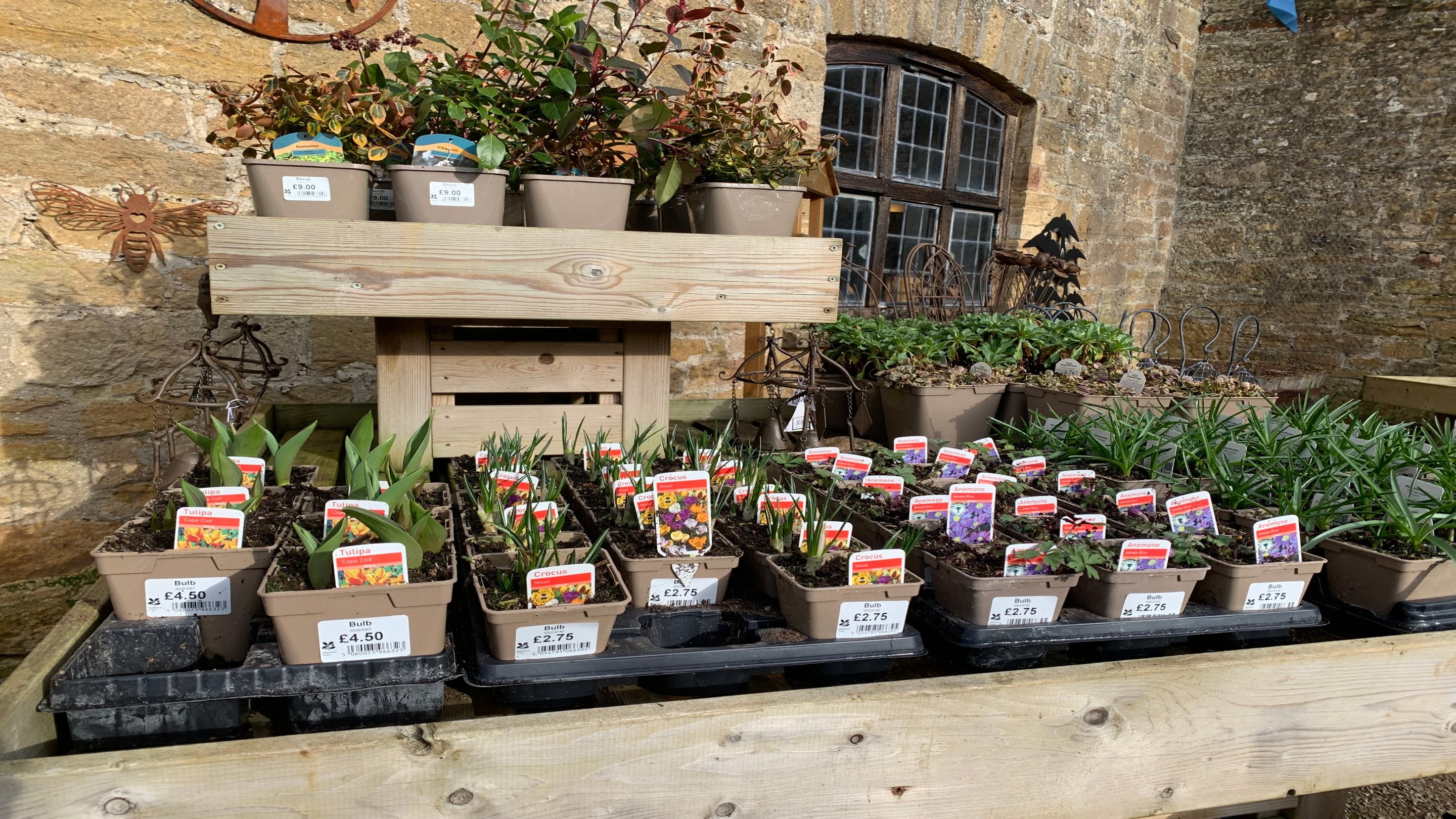 Visiting Montacute House estate | Somerset | National Trust