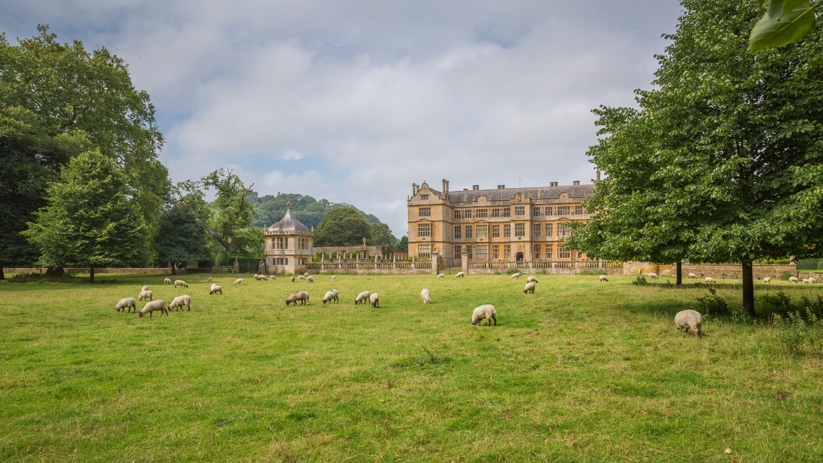 Visiting Montacute House estate | Somerset | National Trust