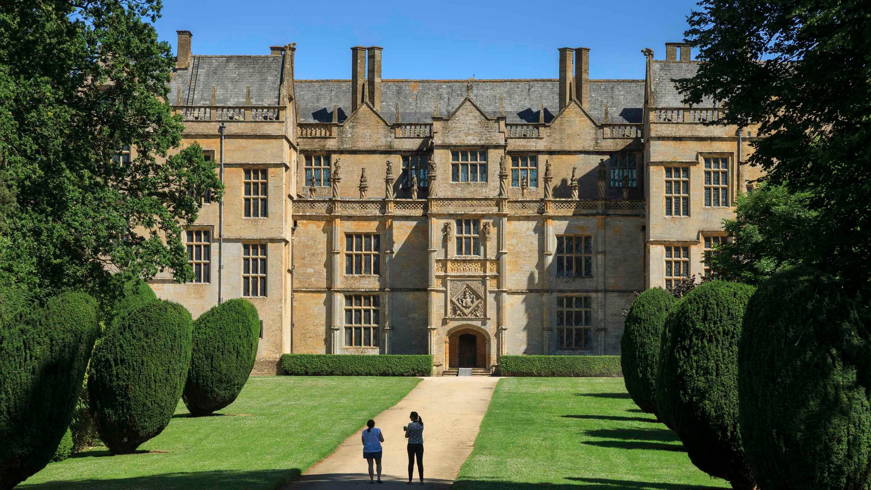 Things to see and do in Montacute House | National Trust