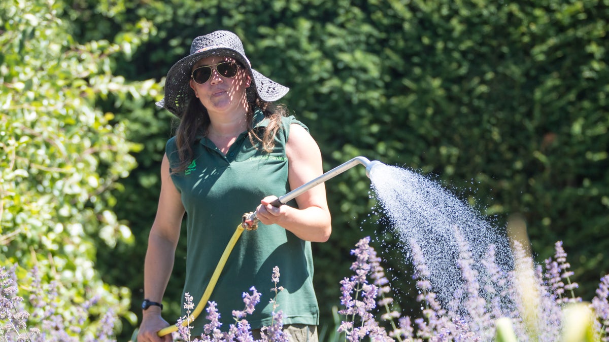 Expert tips for hot weather │Gardening tips | National Trust