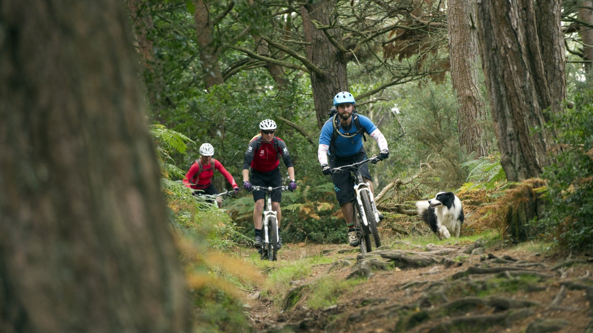 Visiting Webber's Post | Somerset | National Trust