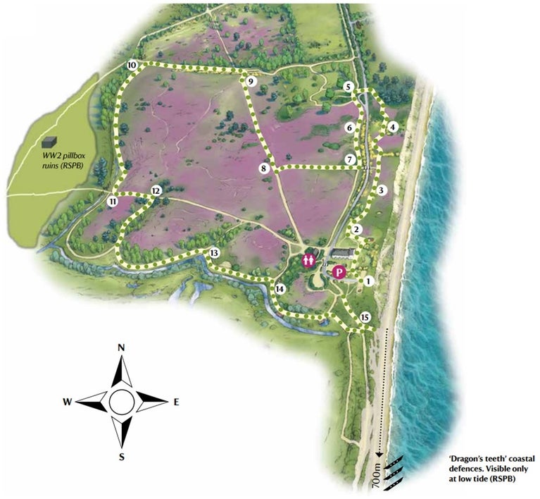 Dunwich Heath wartime trail | National Trust