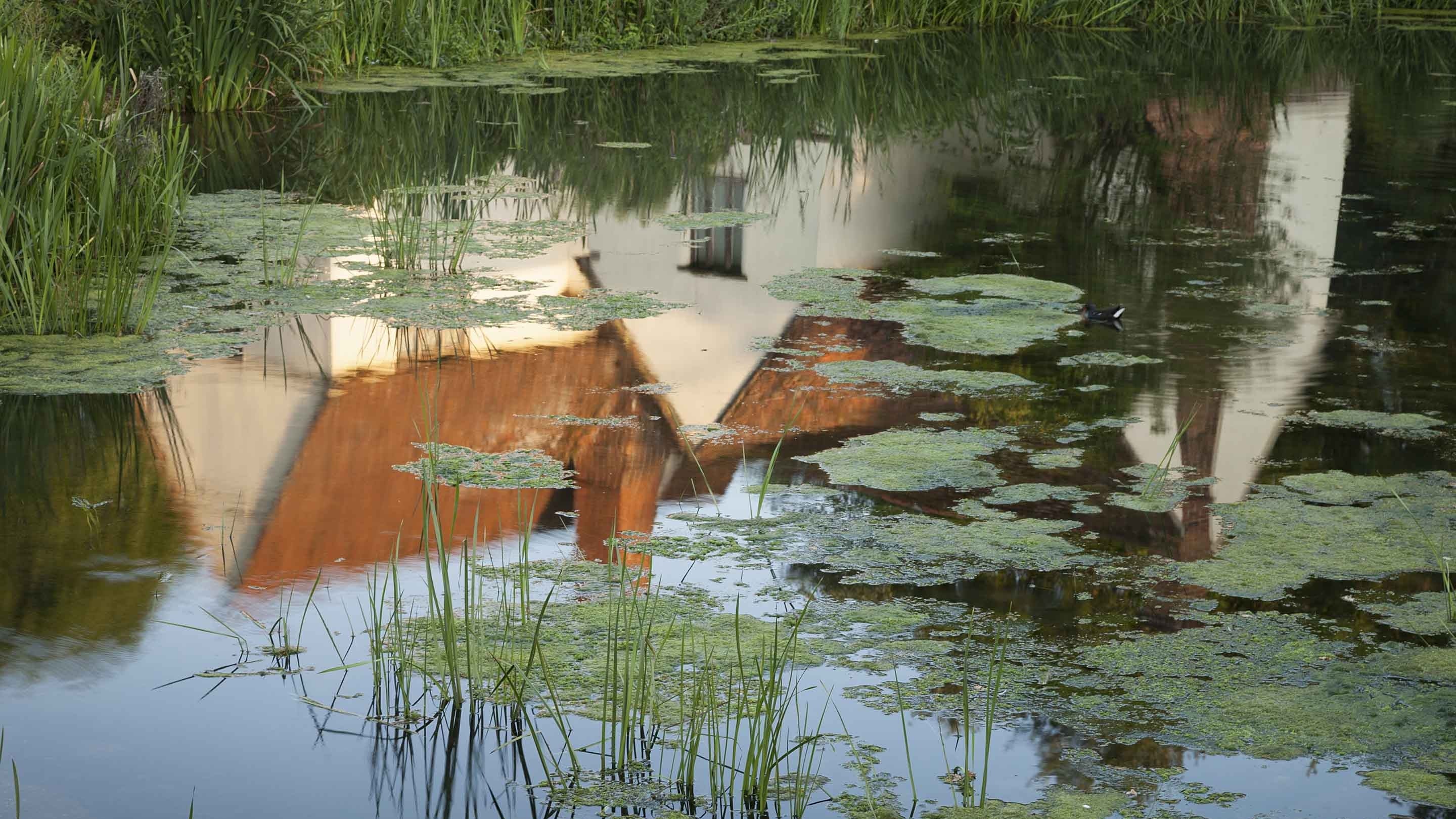 Visiting Flatford │ Suffolk | National Trust