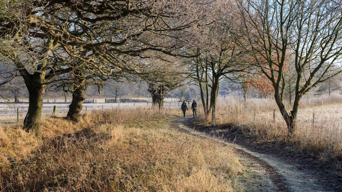 Countryside in Suffolk | National Trust