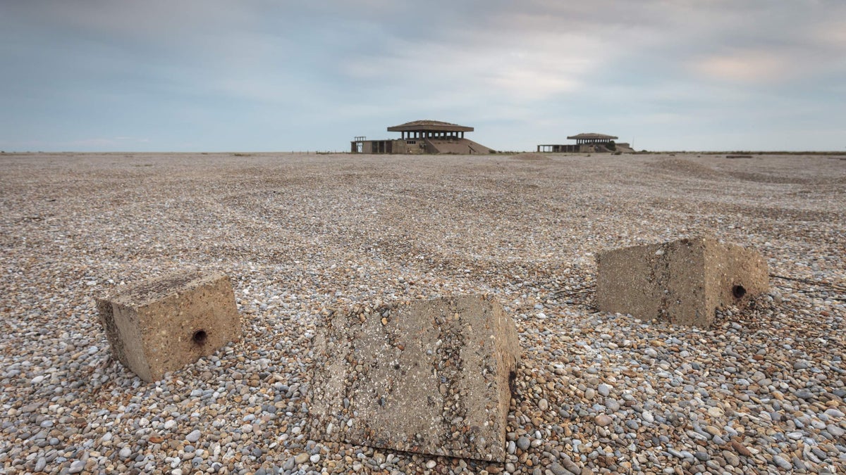 Rare spider species found at Orford Ness | National Trust