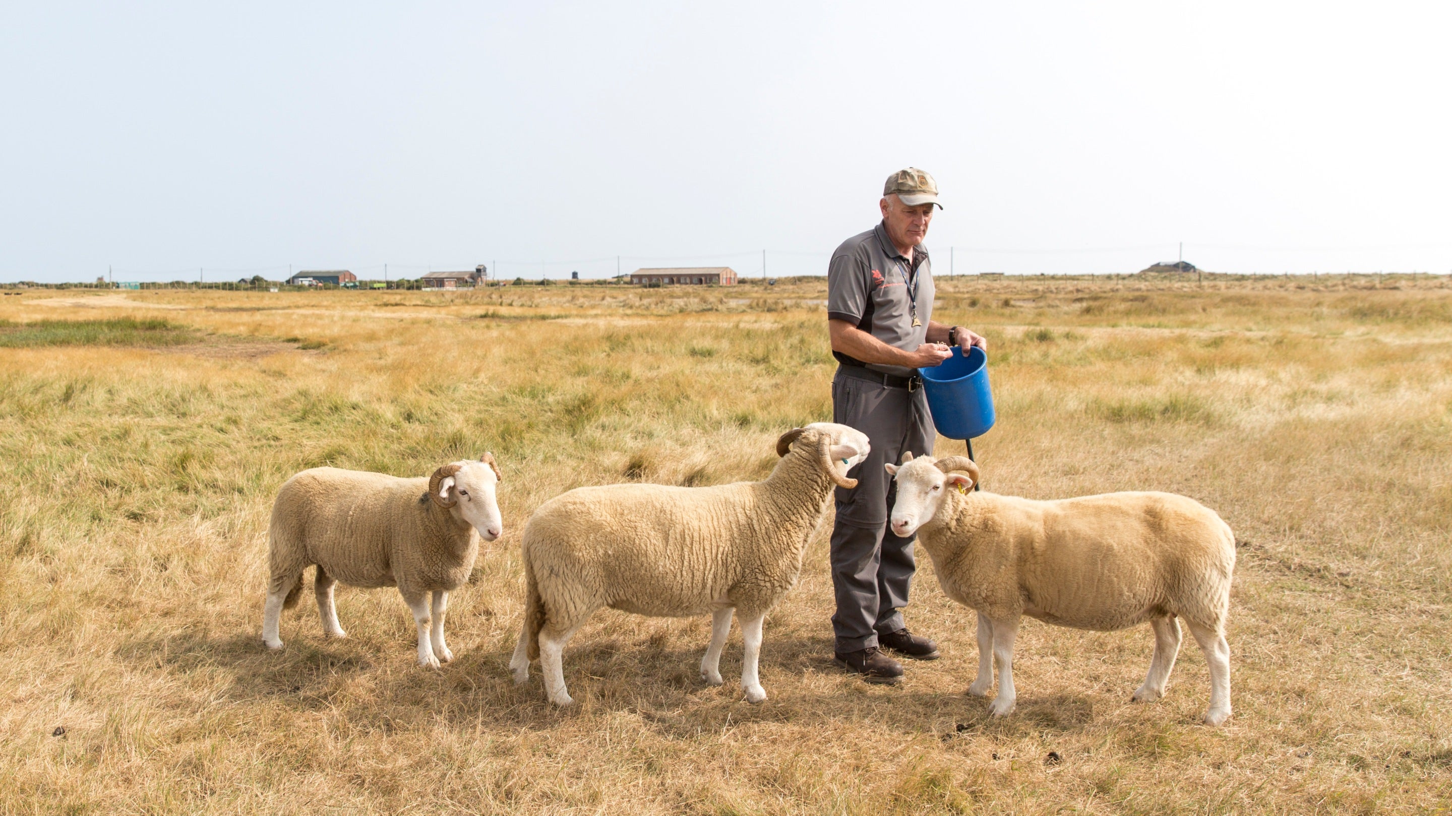 Our work at Orford Ness | Suffolk | National Trust