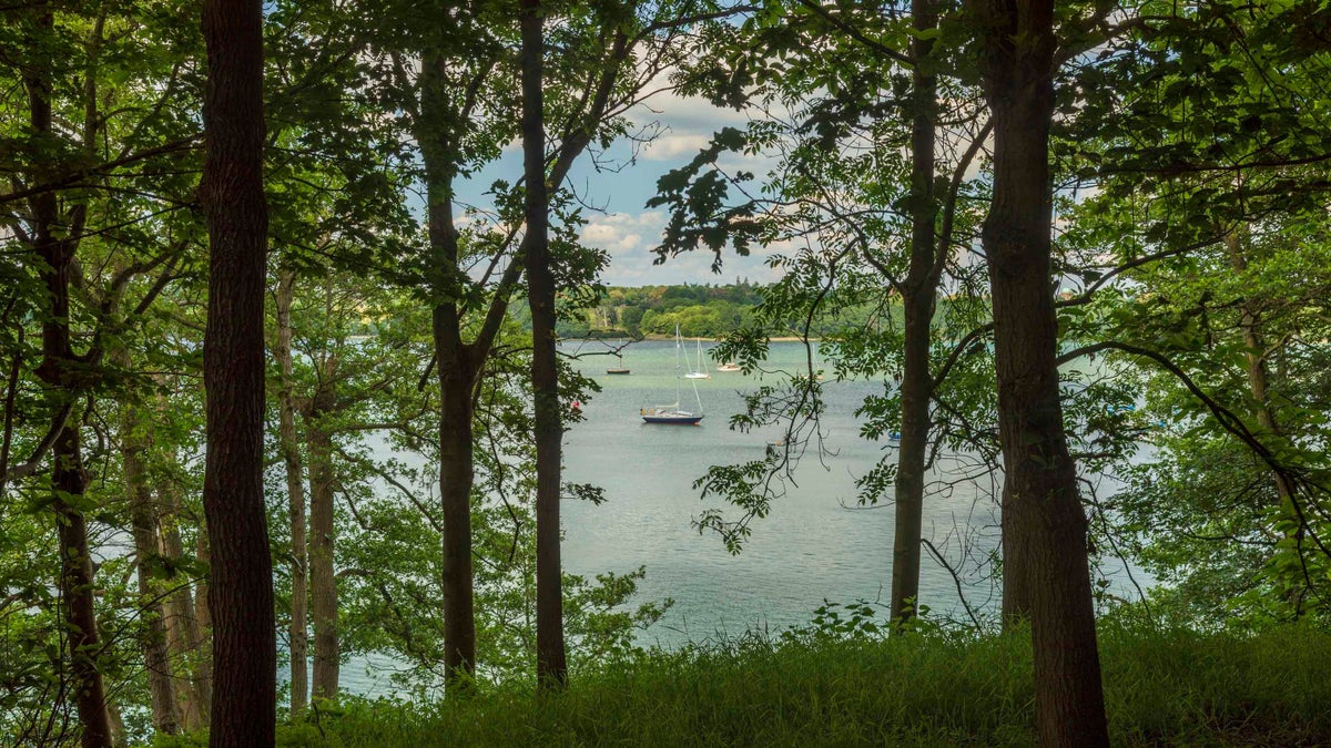 Pin Mill | Suffolk | National Trust