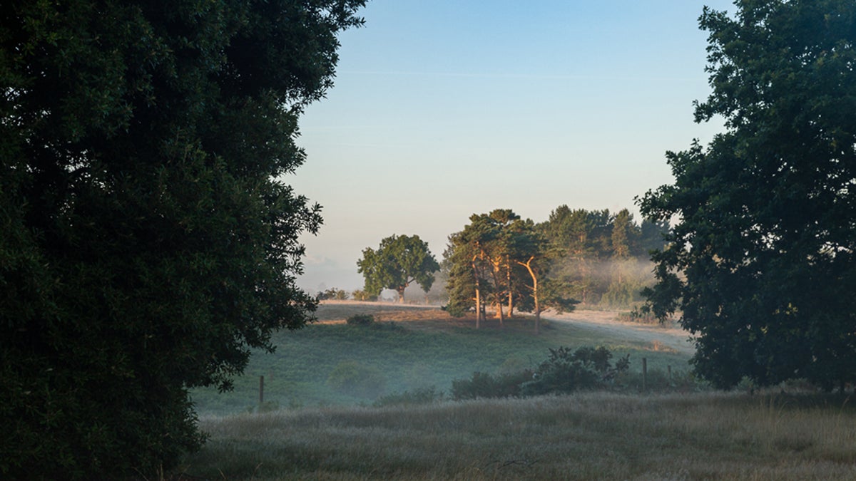 Valley walk at Sutton Hoo | Suffolk | National Trust