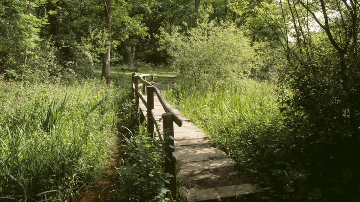 History of the Bookham Common's| Surrey | National Trust