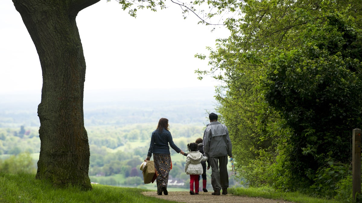 Visiting Box Hill | Surrey | National Trust
