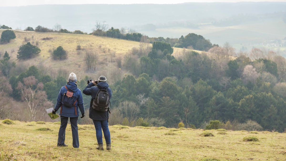 Walking at Box Hill | Surrey | National Trust