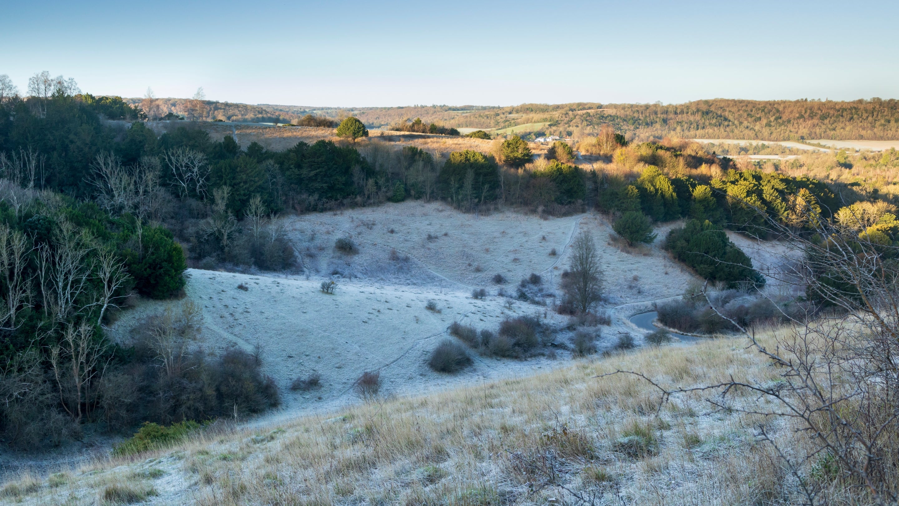 Visit Reigate Hill and Gatton Park | Surrey | National Trust