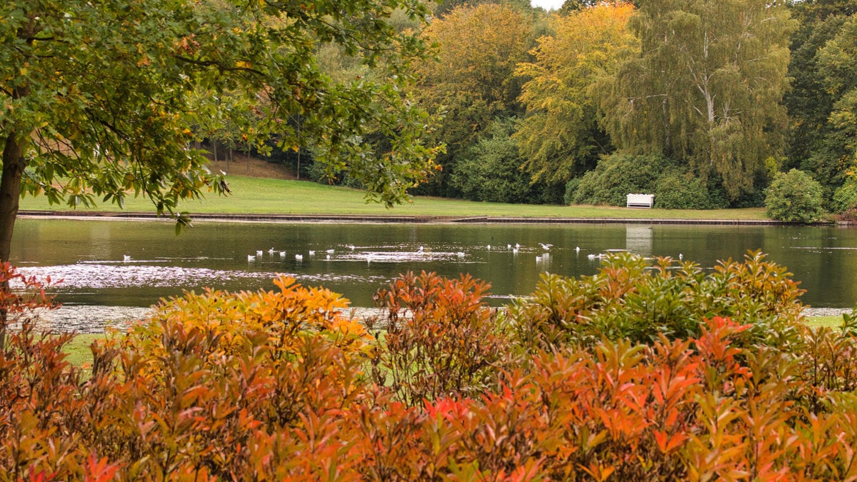 Claremont Landscape Garden | Surrey | National Trust