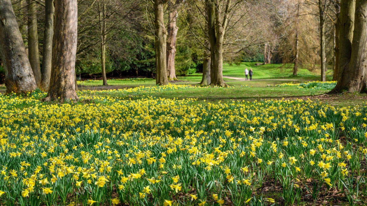 Gardens and parkland in Surrey | National Trust