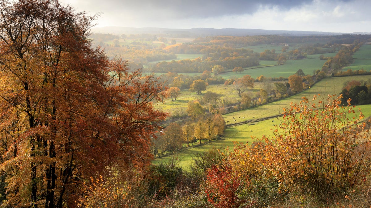 Countryside and woodland | Surrey | National Trust