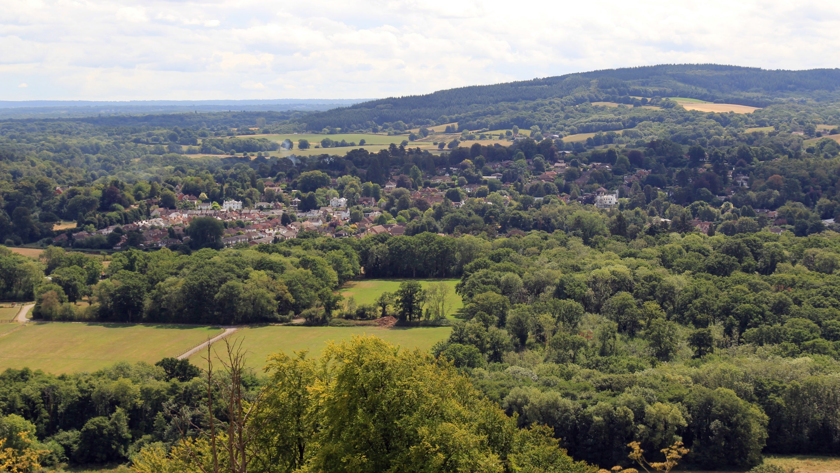 Denbies Hillside | Surrey | National Trust