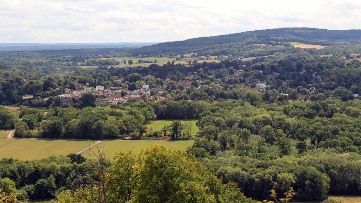 Denbies Hillside | Surrey | National Trust