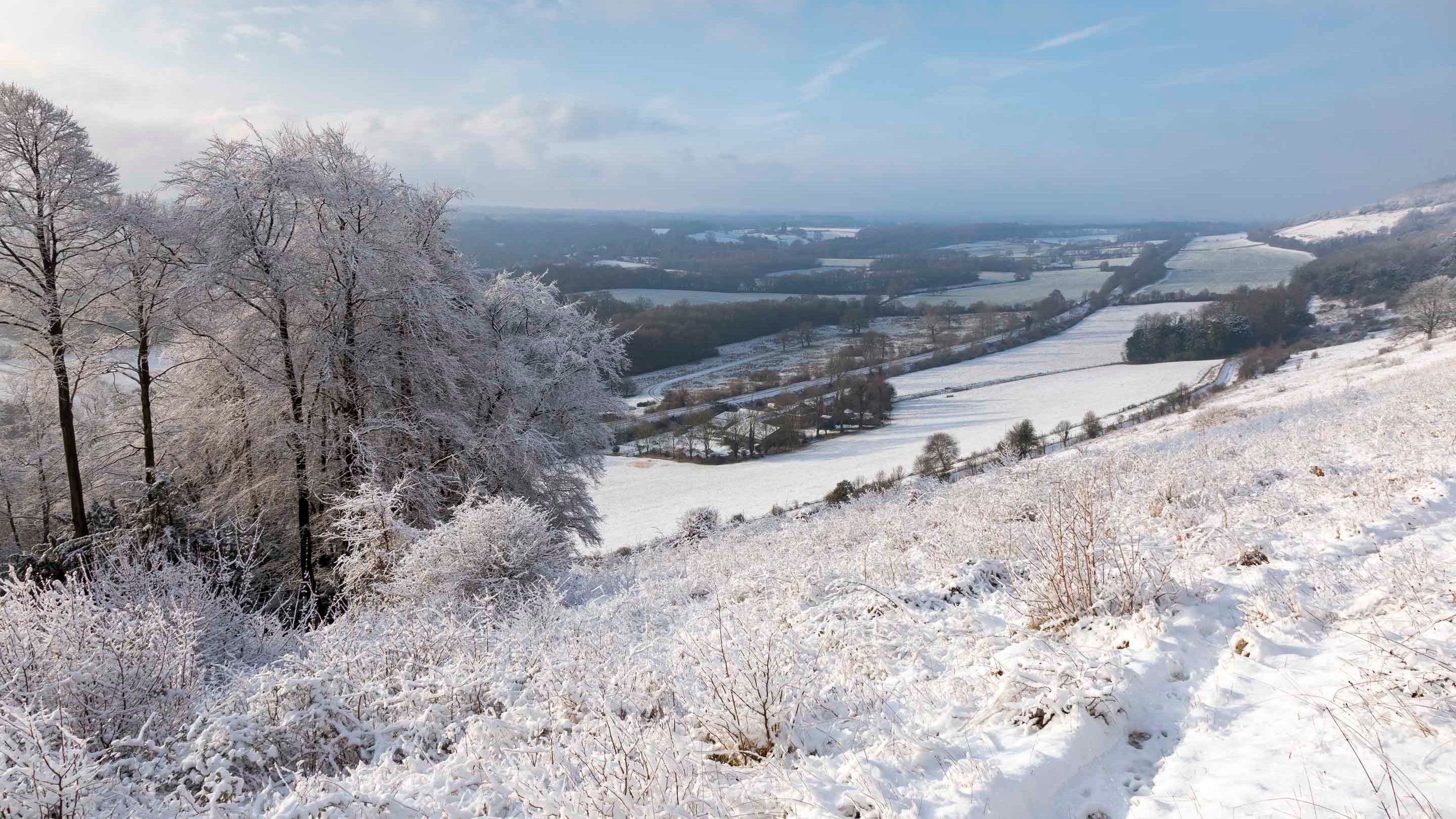 Denbies Hillside | Surrey | National Trust