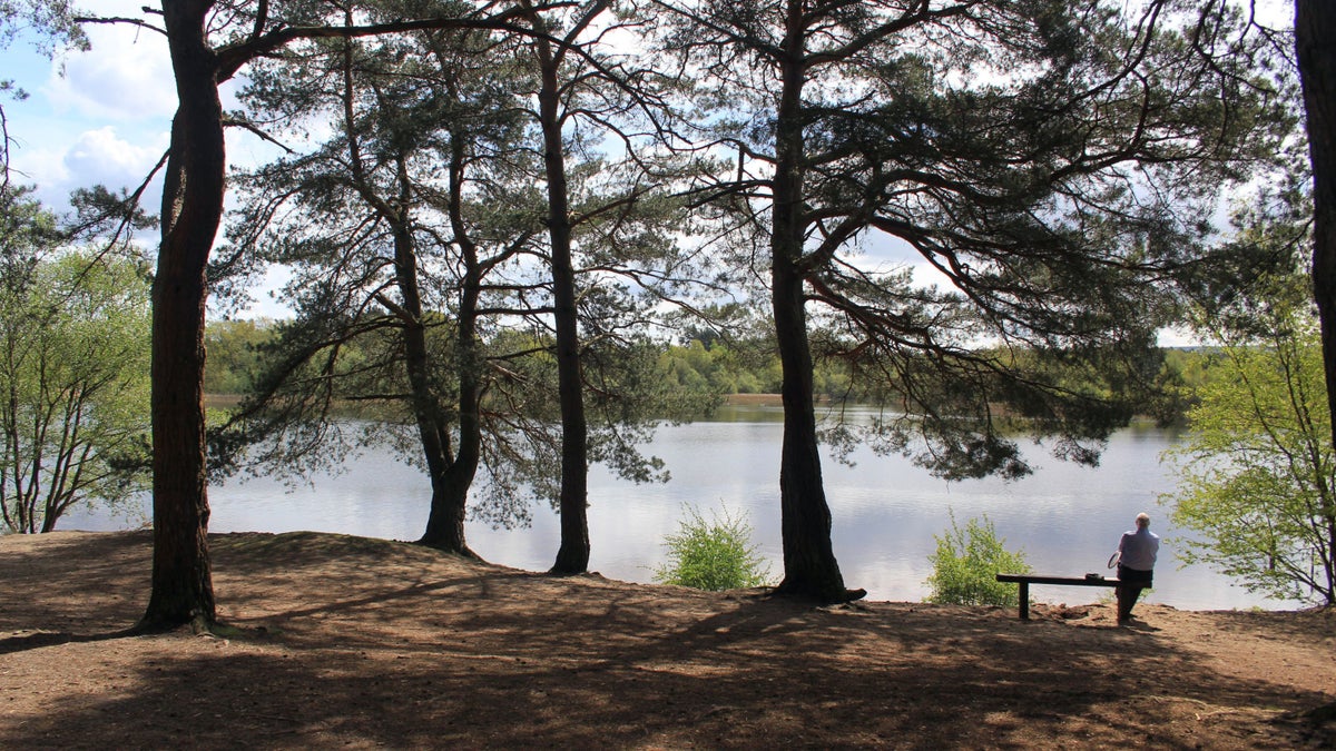 Exploring Frensham Little Pond │ Surrey | National Trust