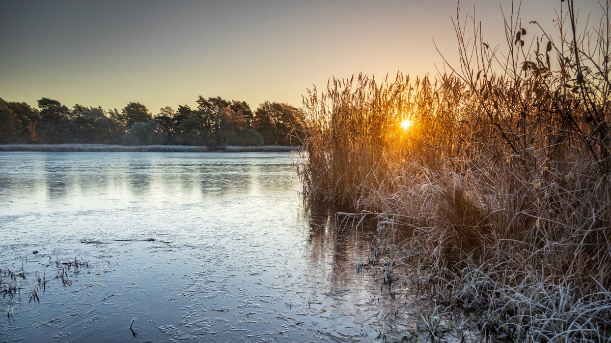 Frensham Little Pond │ Surrey | National Trust