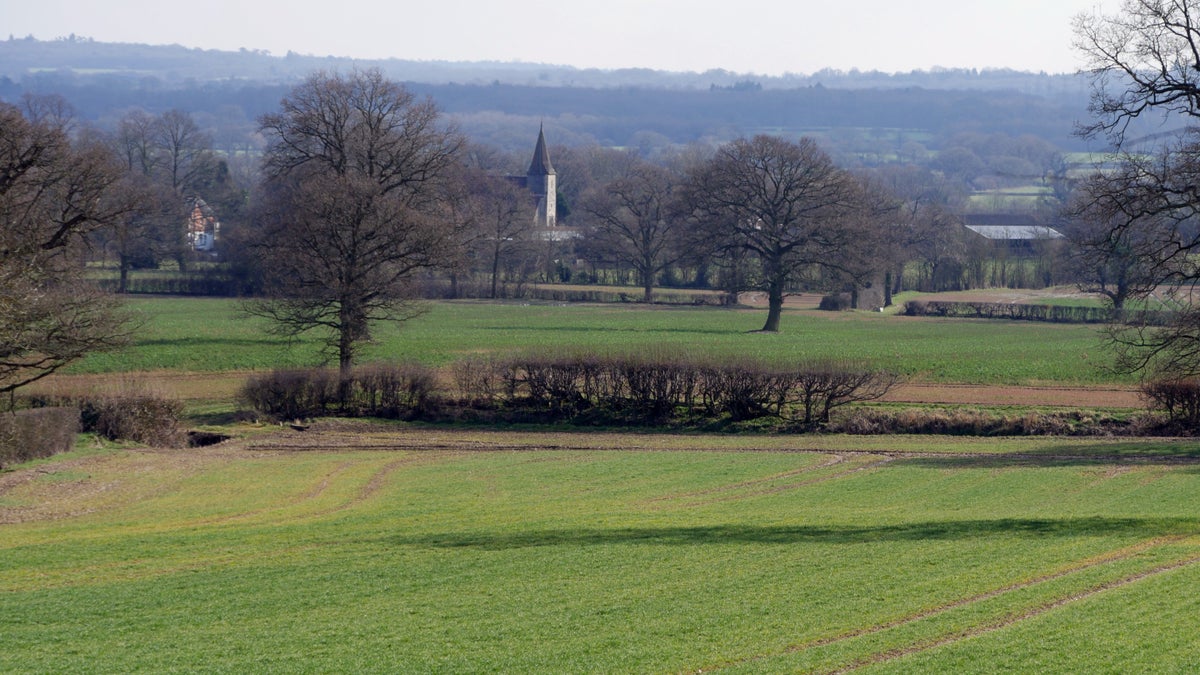 Outwood Common walk at Harewoods | Surrey | National Trust