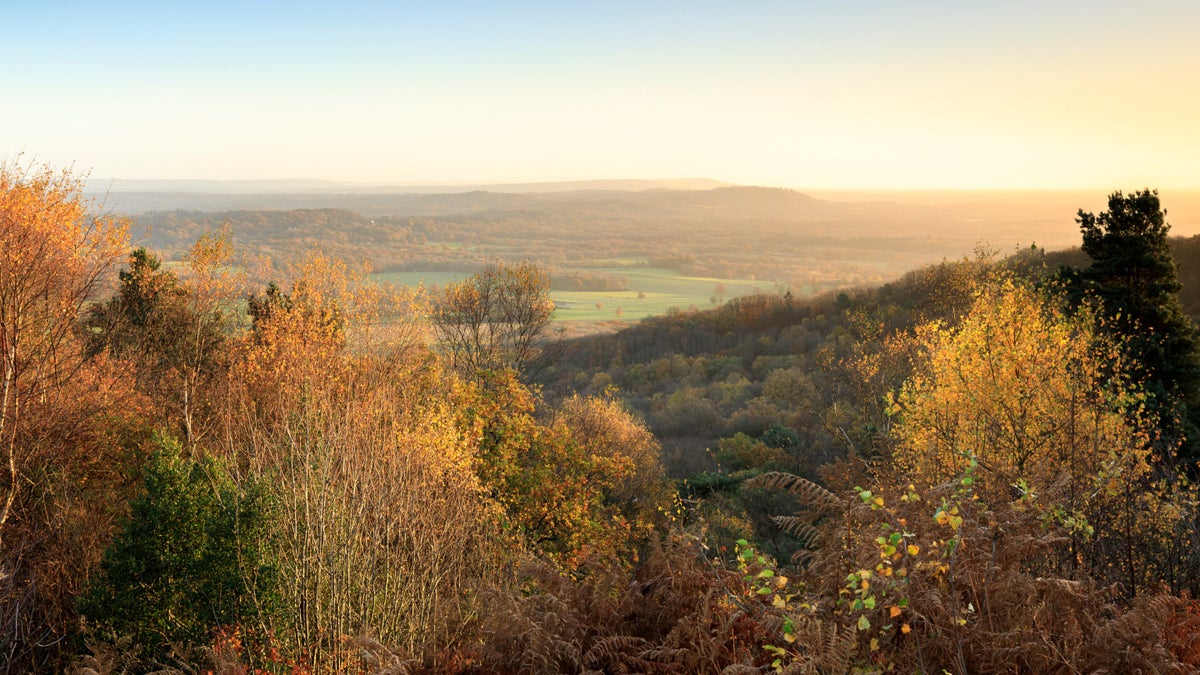 History of Hindhead Commons │ Surrey | National Trust
