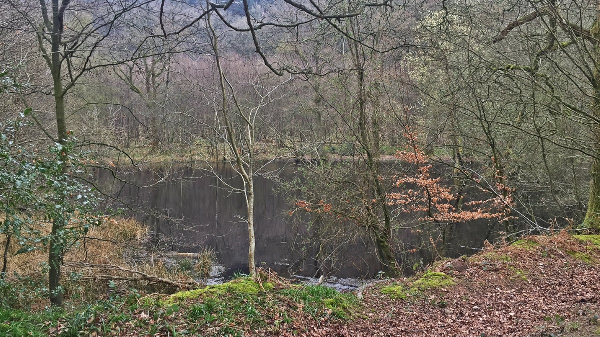 Miss James walk at Hindhead | Surrey | National Trust