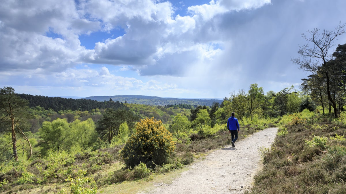 Countryside | Surrey | National Trust