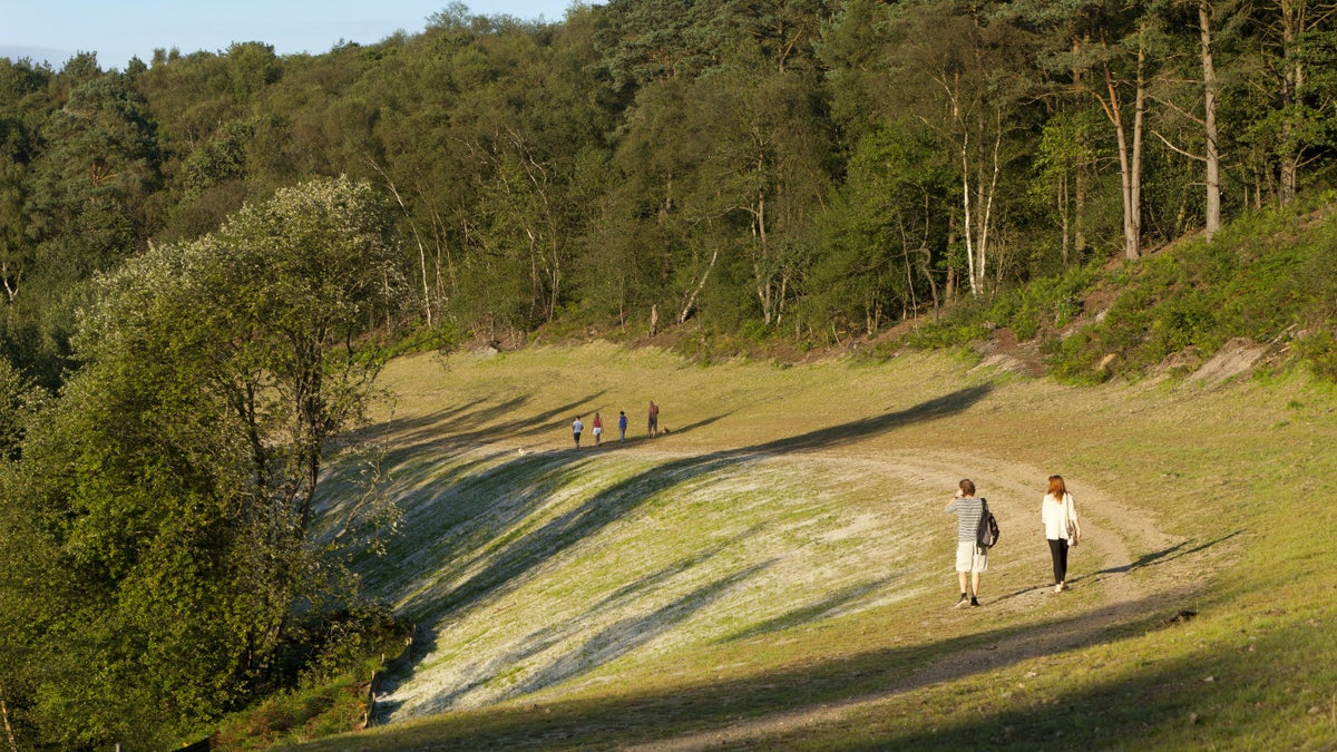 Long distance Surrey walk | National Trust