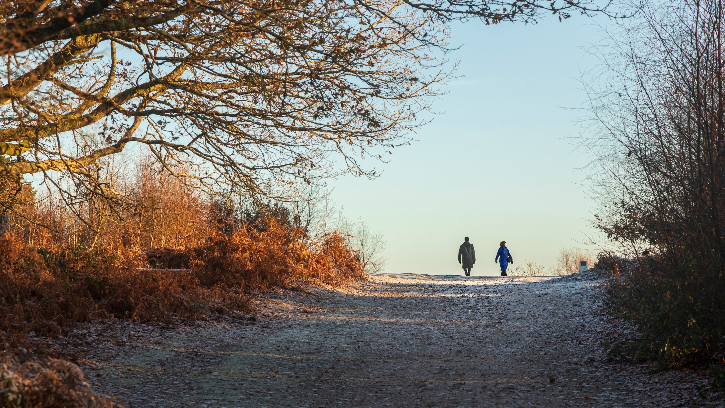 Miss James walk at Hindhead | Surrey | National Trust