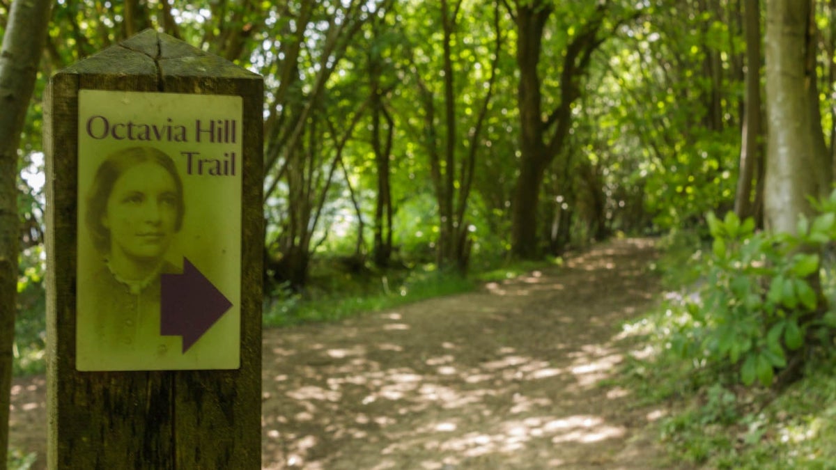 Octavia Hill walk Hydon's Ball | Surrey | National Trust