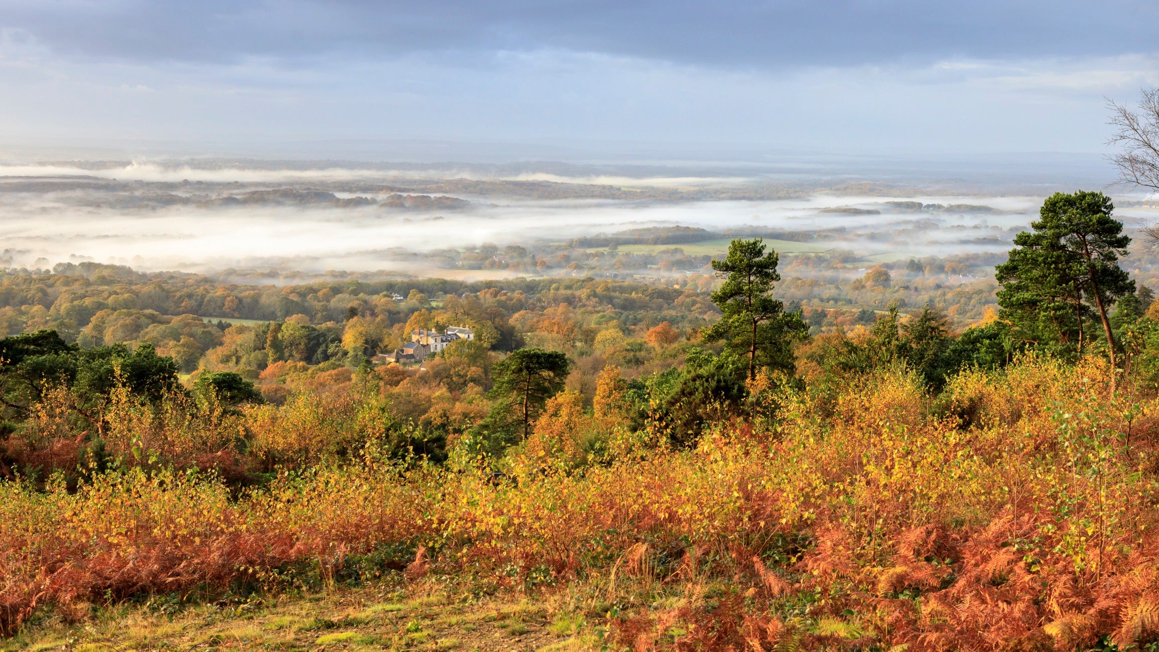 Leith Hill | Surrey | National Trust