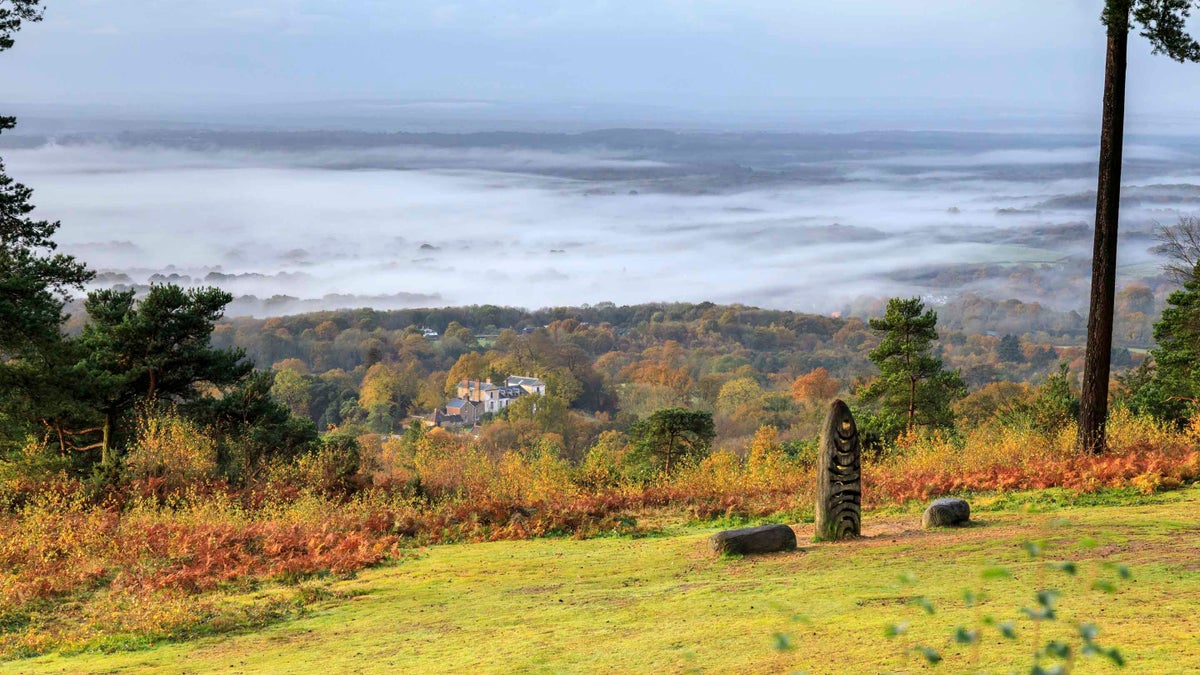 Leith Hill | Surrey | National Trust