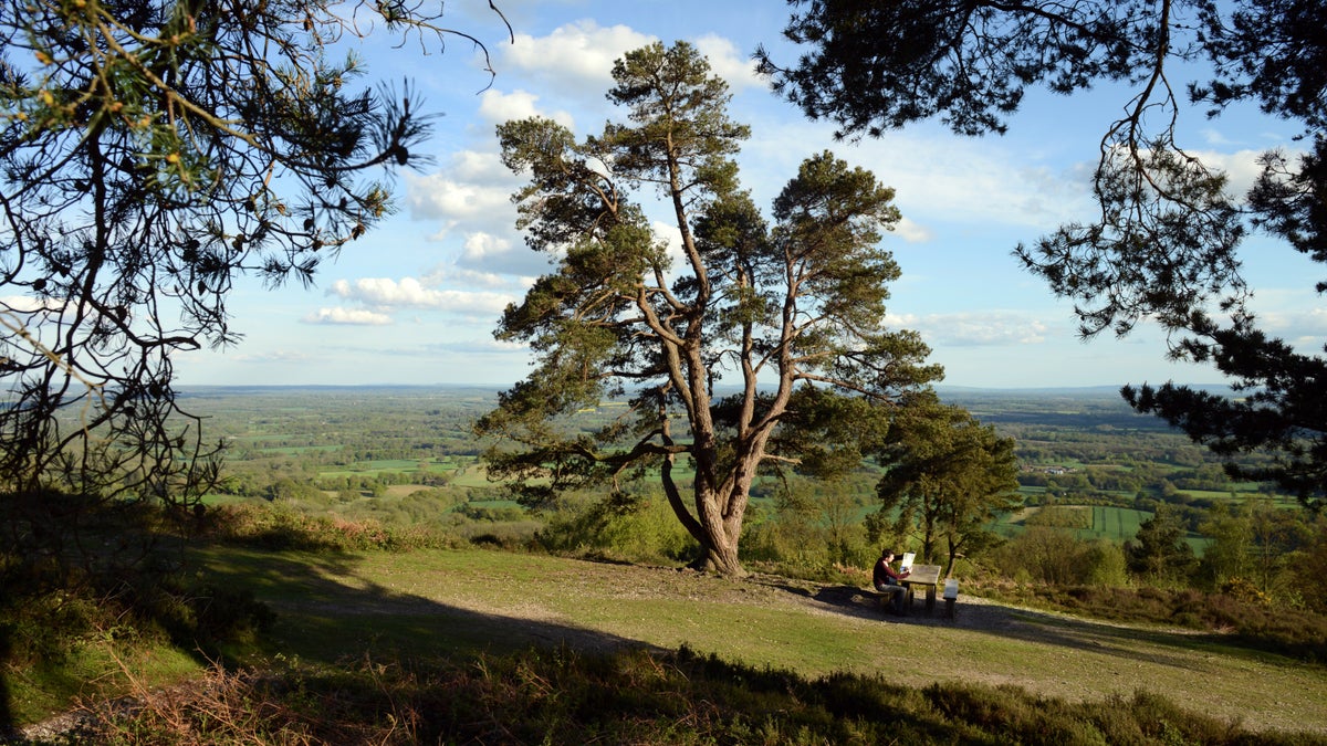 Leith Hill | Surrey | National Trust