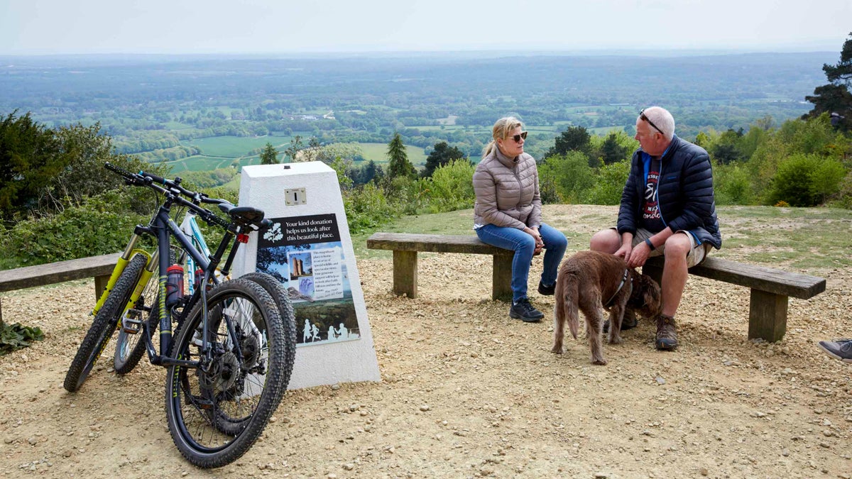 Leith Hill circular heathland walk | Surrey | National Trust