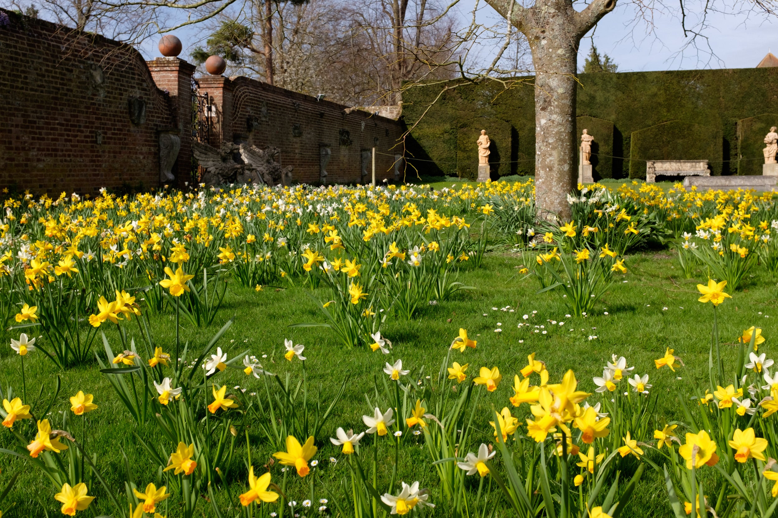 The garden at Polesden Lacey | Surrey | National Trust