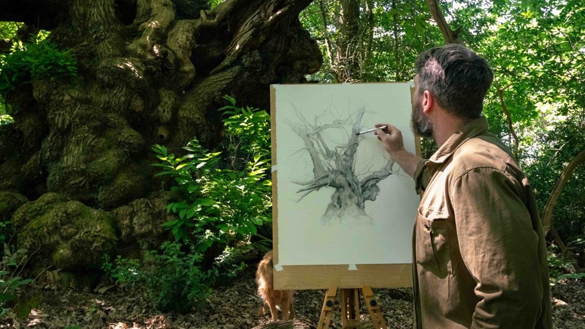 The Last Tree &The Art of Nature Exhibition | National Trust