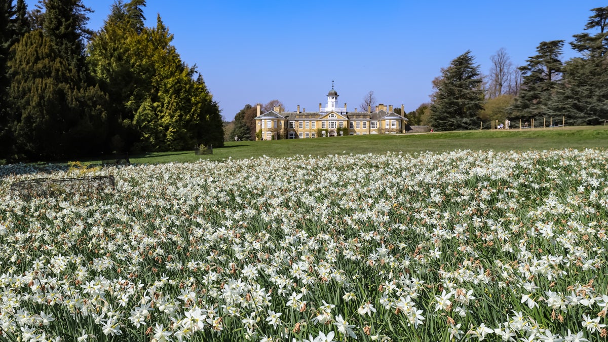 The garden at Polesden Lacey | Surrey | National Trust