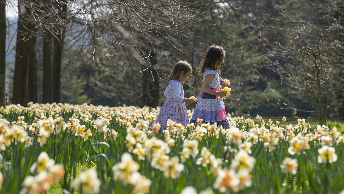 Days out with kids | Polesden Lacey | National Trust