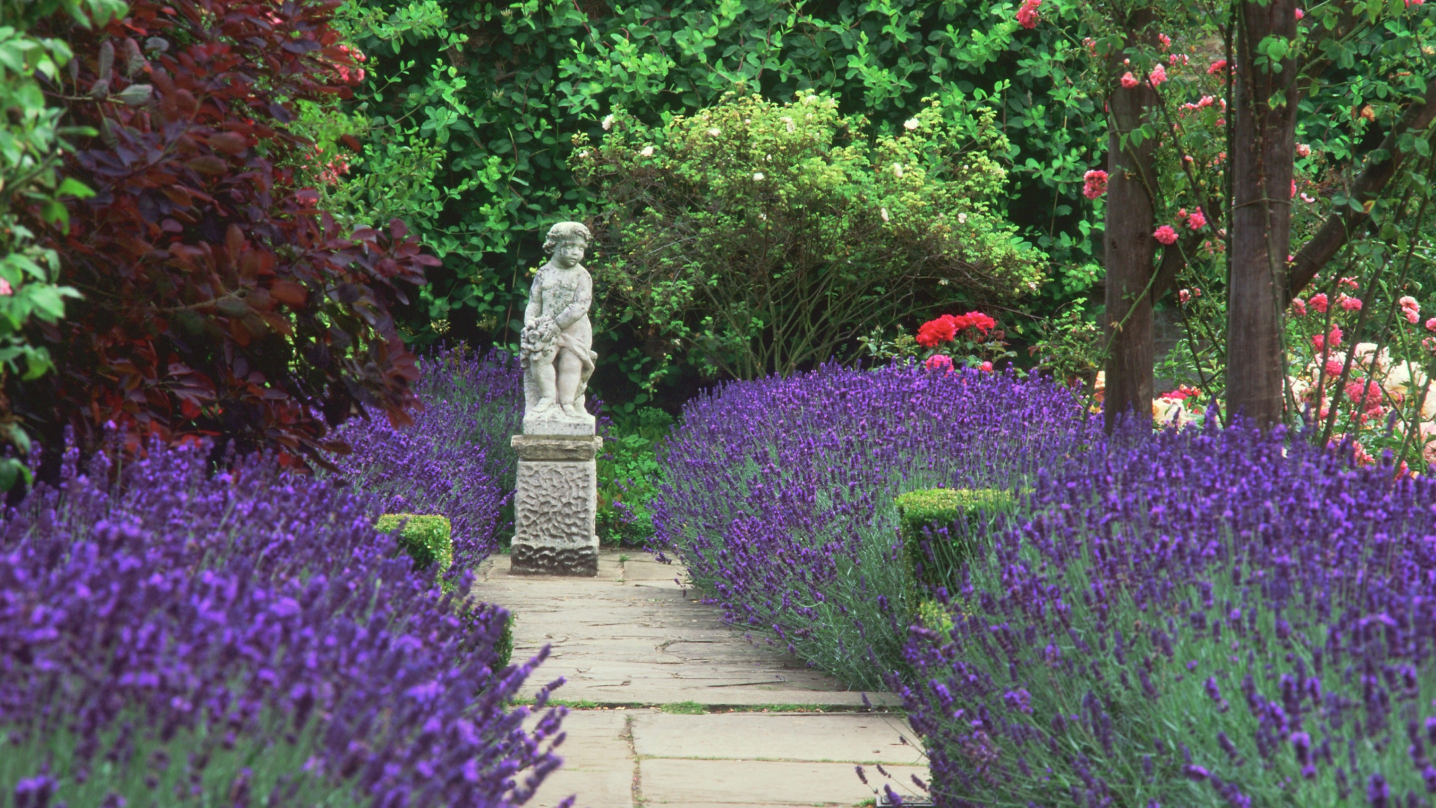 Visit Claremont Landscape Garden | Surrey | National Trust