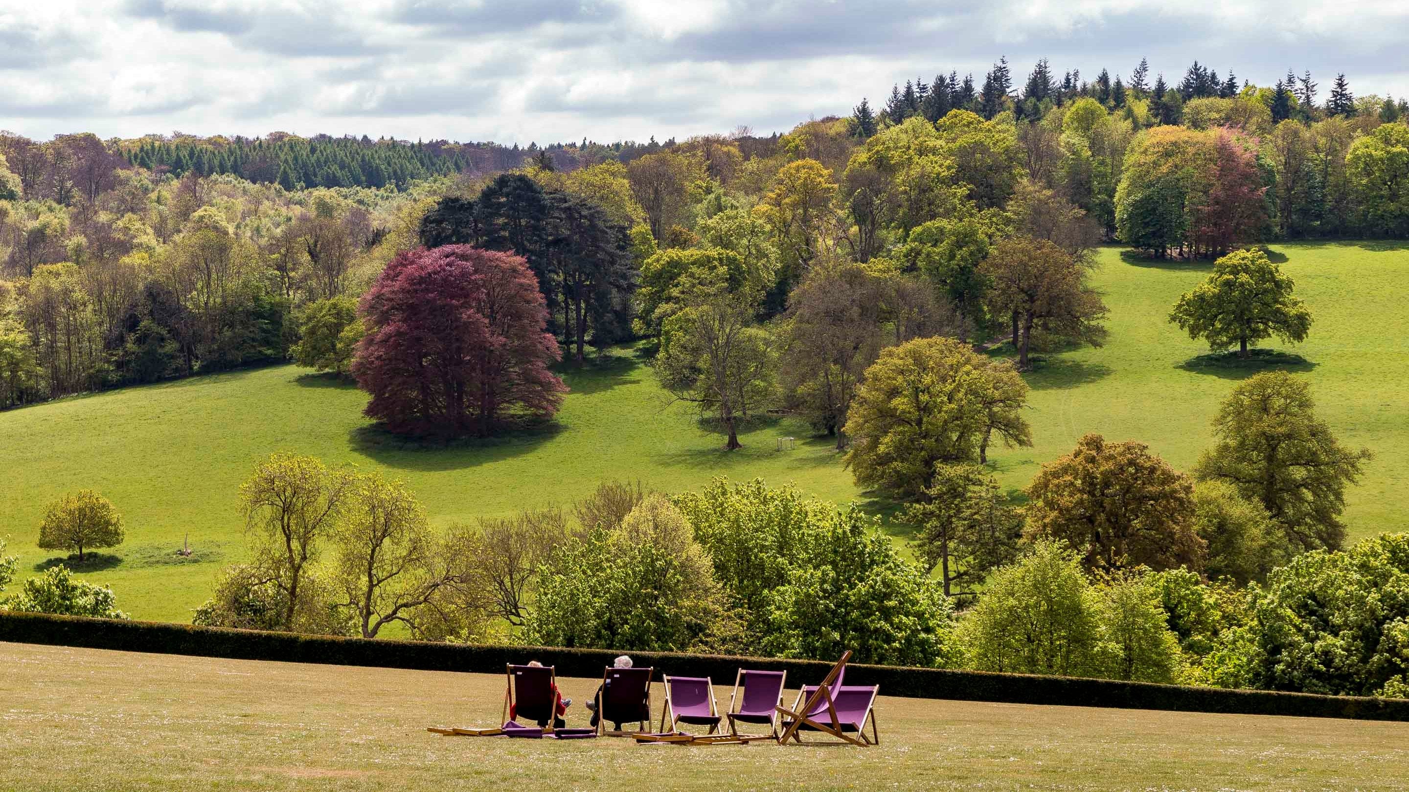 Surrey countryside car parks | National Trust