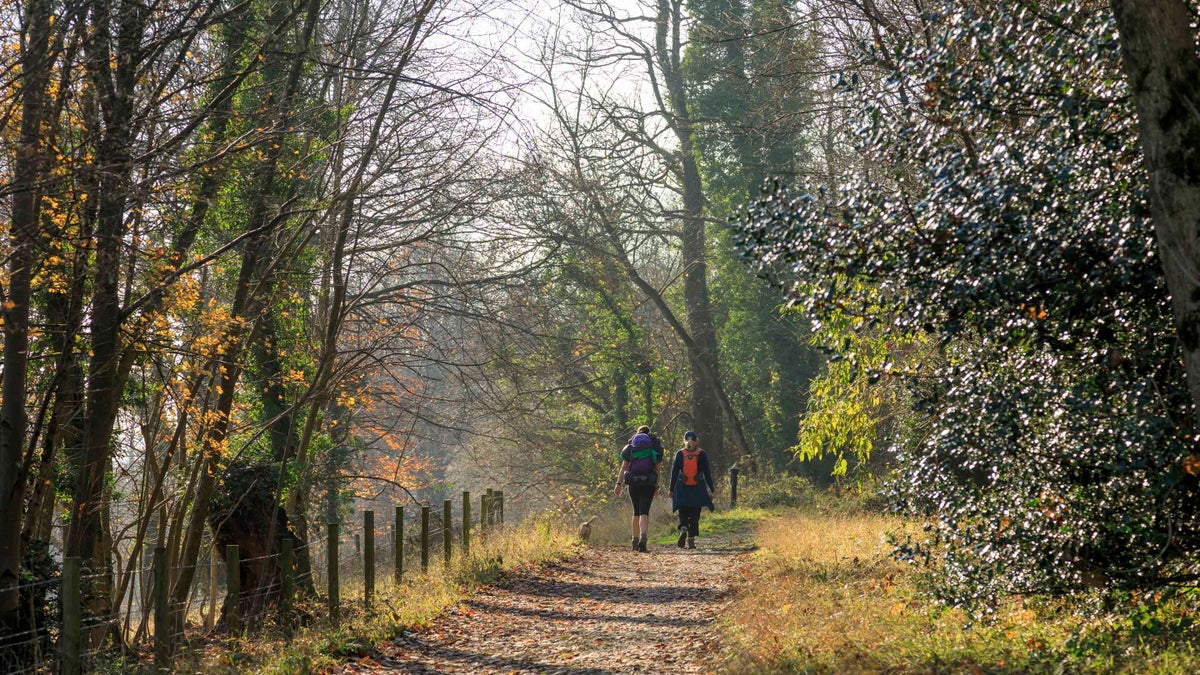 Visit Reigate Hill and Gatton Park | Surrey | National Trust