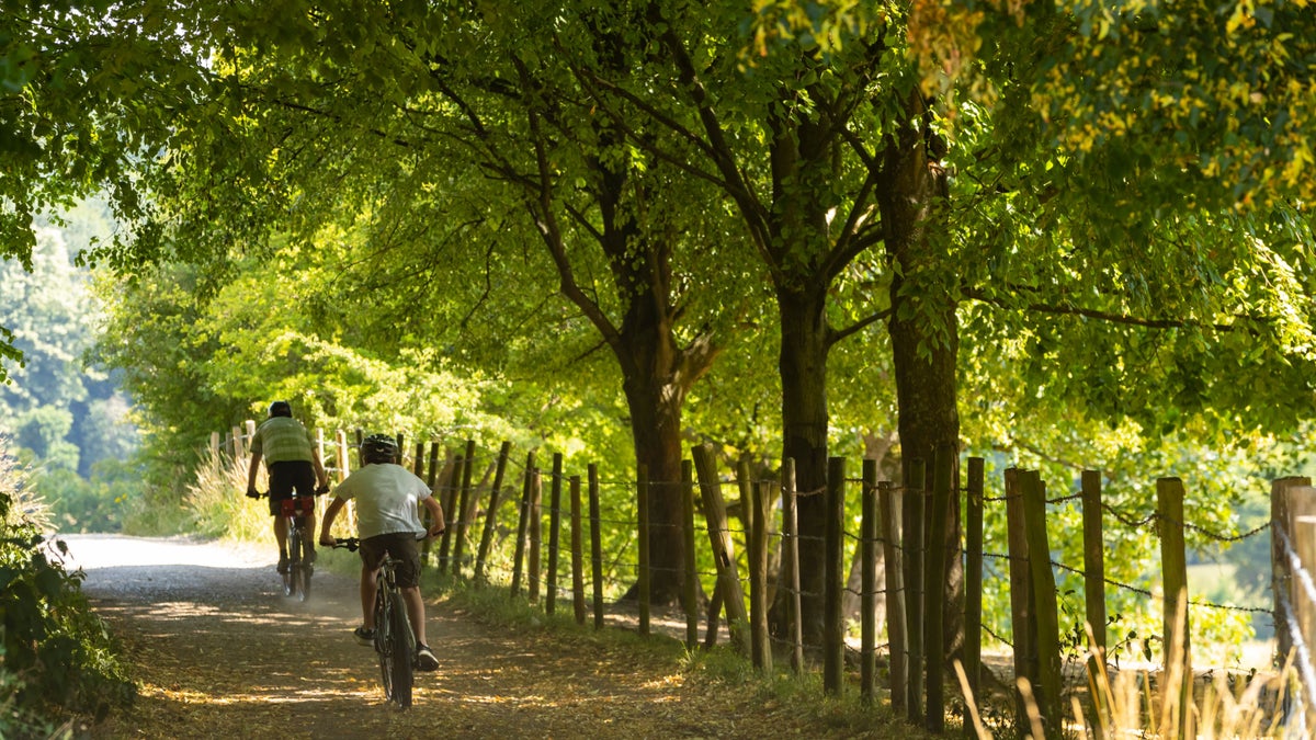 Visit Reigate Hill and Gatton Park | Surrey | National Trust