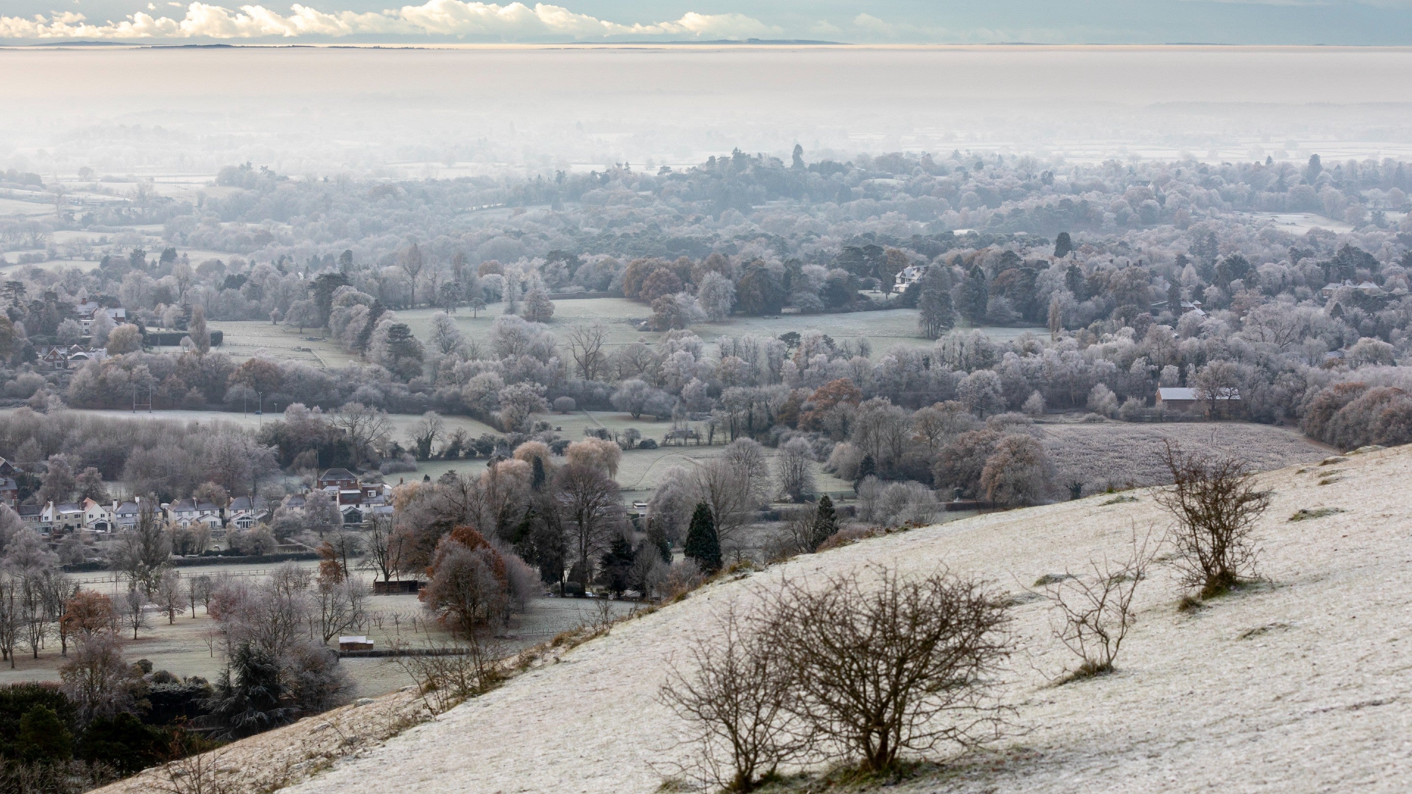 Reigate Hill and Gatton Park | Surrey | National Trust