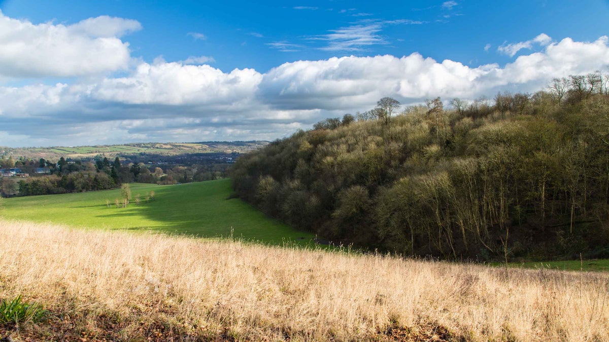 Countryside and woodland | Surrey | National Trust