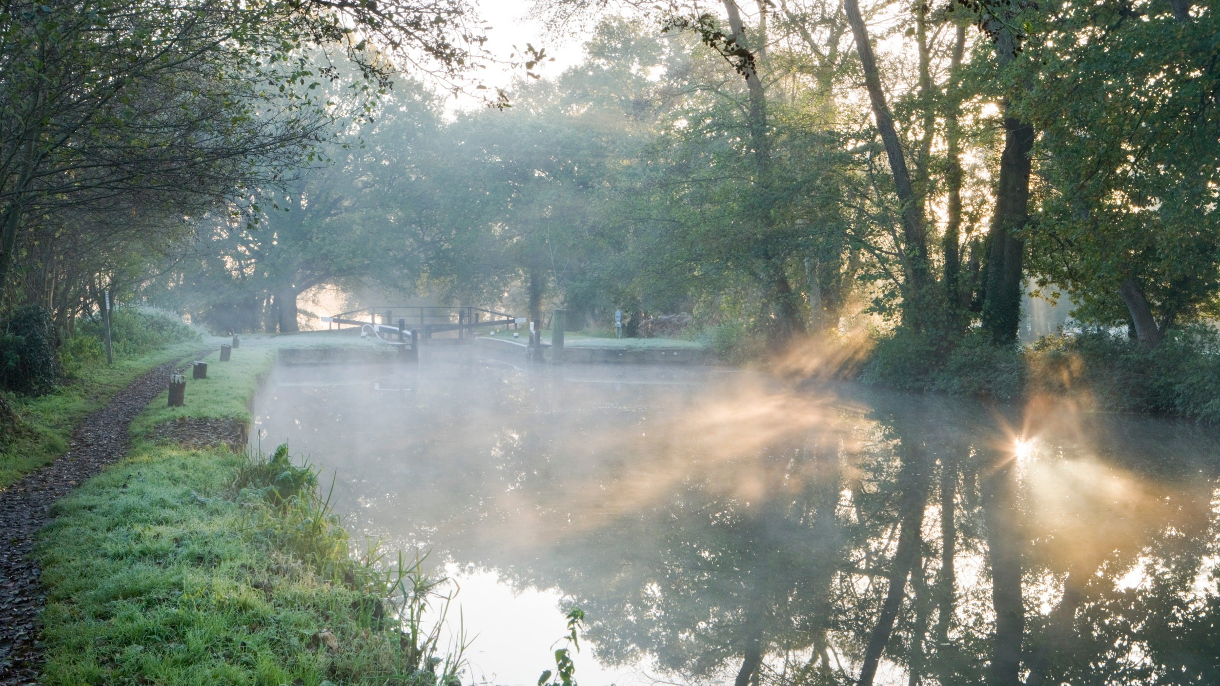 Countryside and woodland | Surrey | National Trust